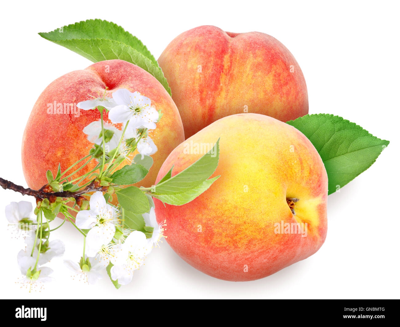 Orange fruit flower Cut Out Stock Images & Pictures - Alamy