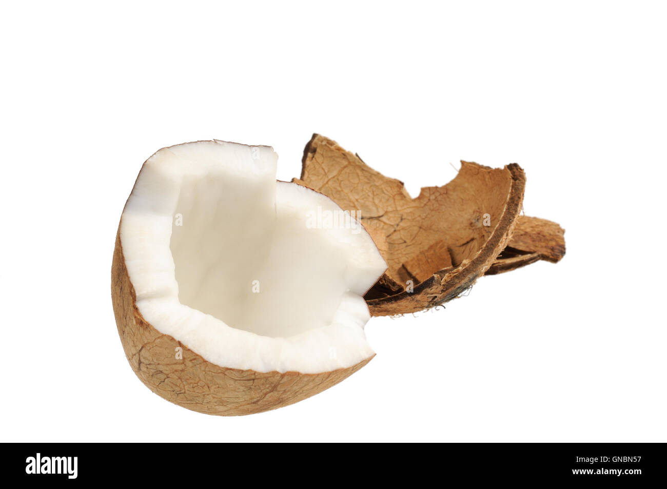 Fresh coconut and coconut shells Stock Photo - Alamy