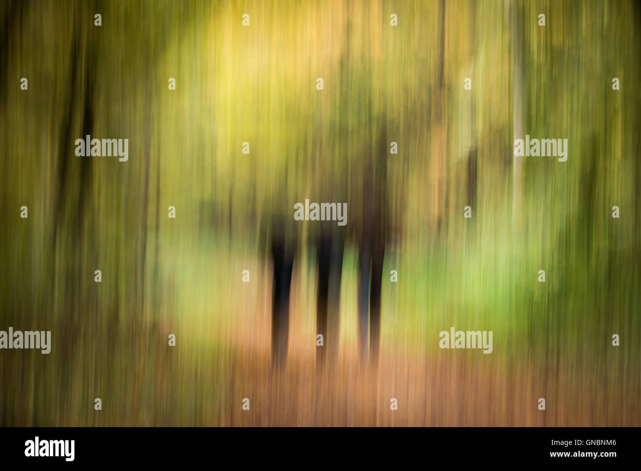 Artistic Image Of Three Men Walking Through A Forest Stock Photo Alamy
