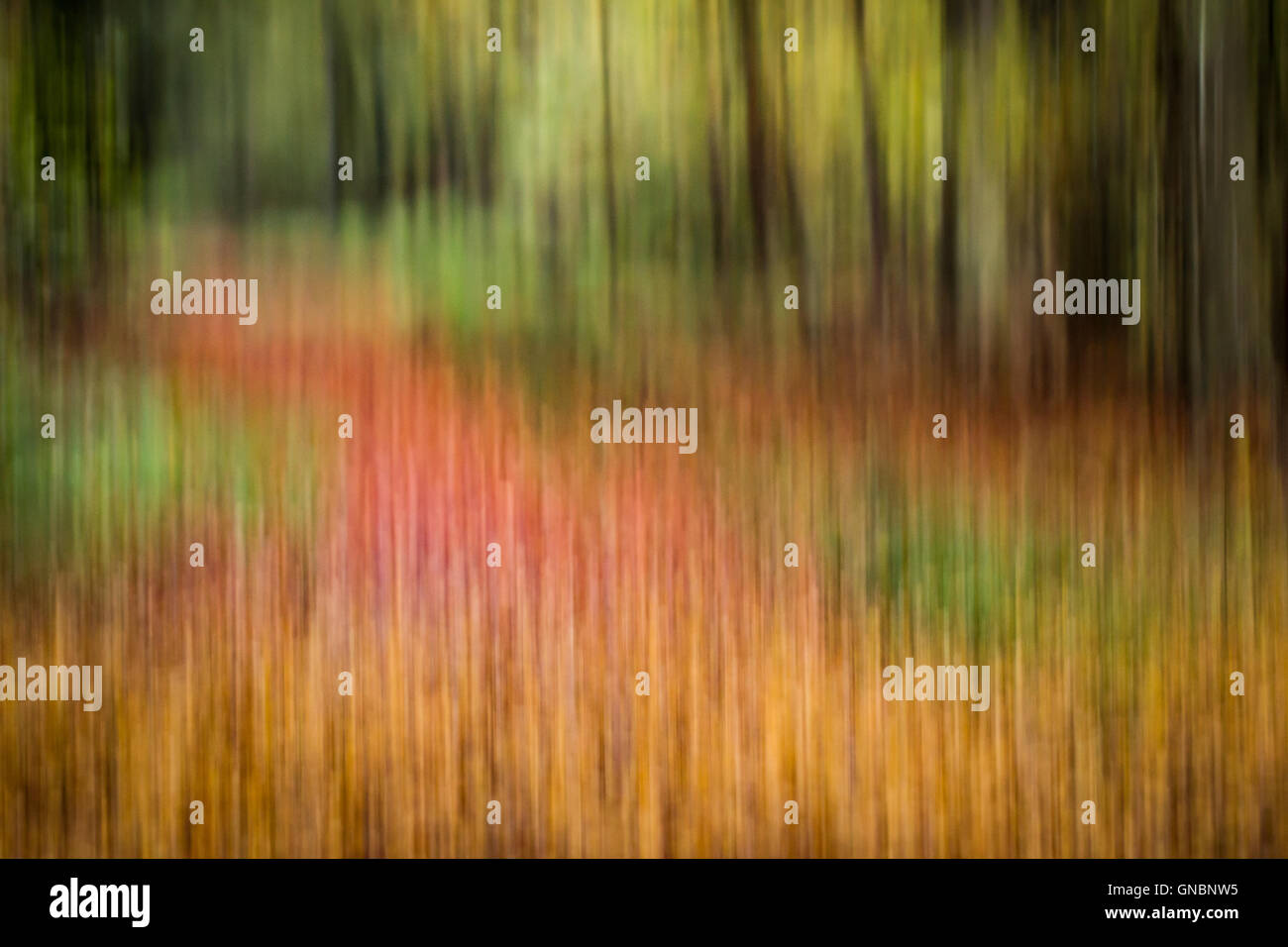 Artistic purpose hi-res stock photography and images - Alamy