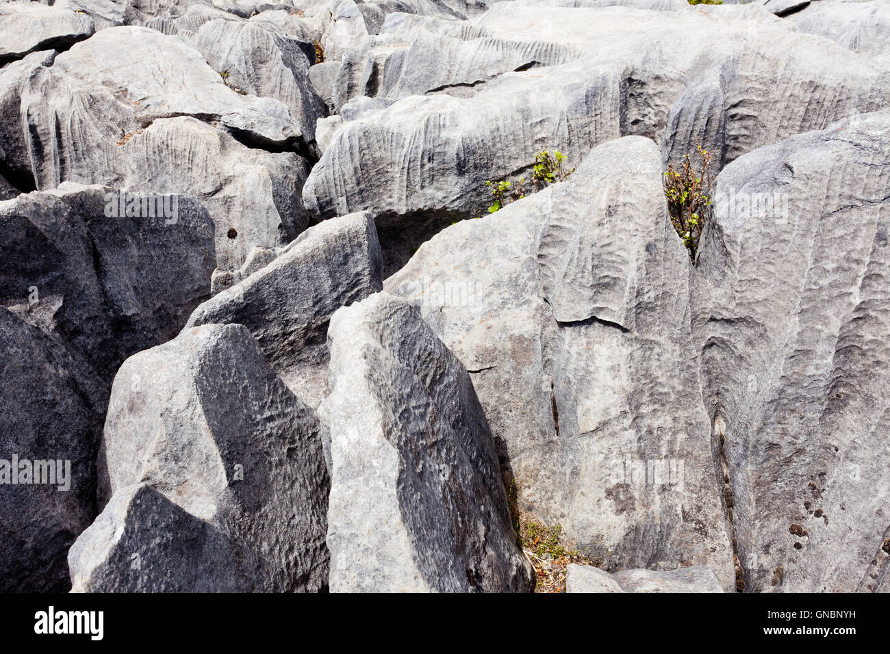 Rainwater carved marble rock called karren Stock Photo - Alamy