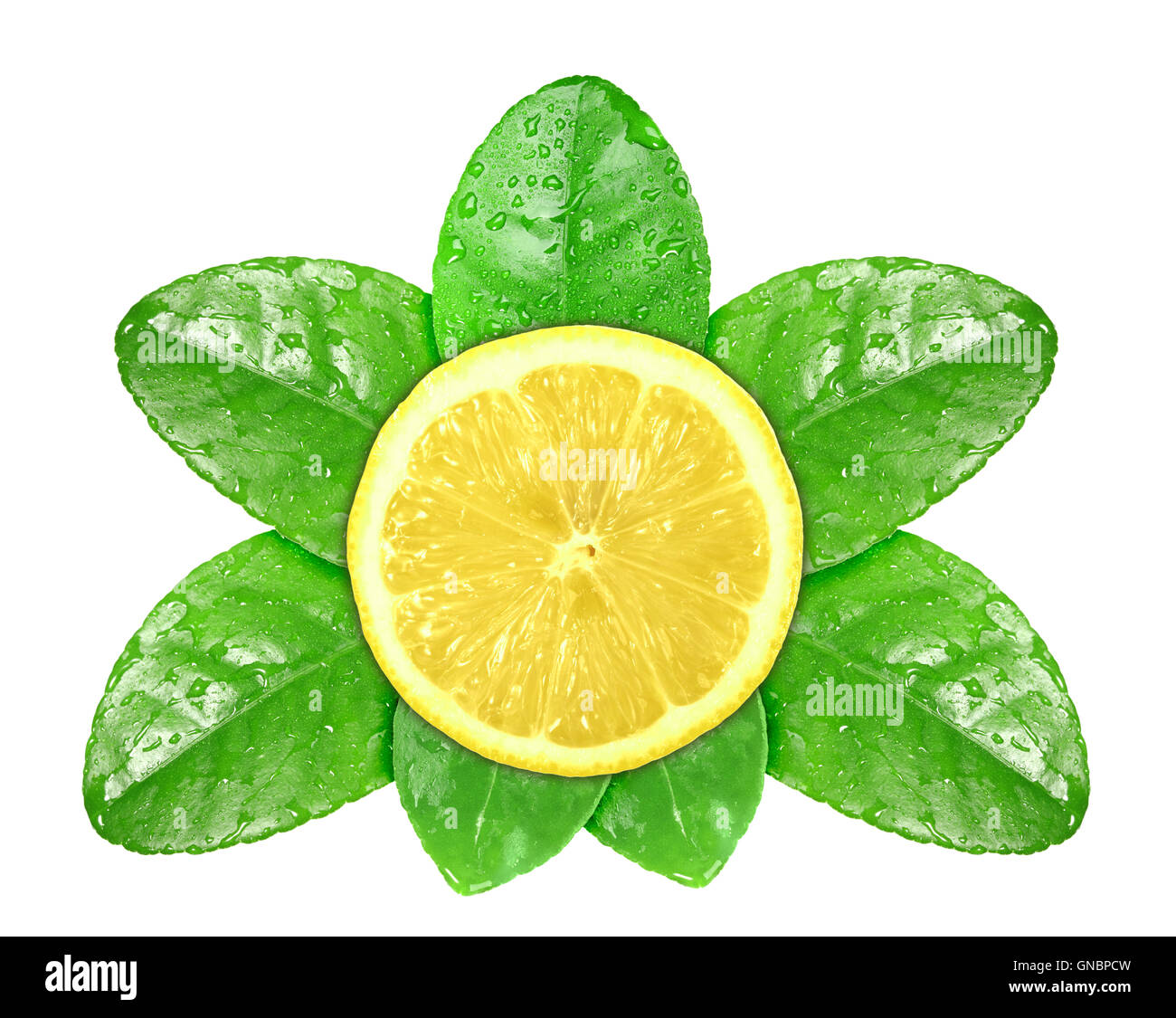 Isolated lemon fruit Cut Out Stock Images & Pictures - Alamy