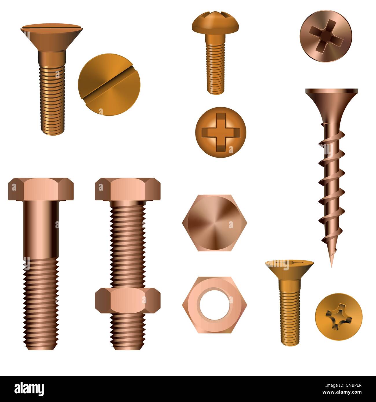 metallic screw set isolated on white background. Vector illustration ...