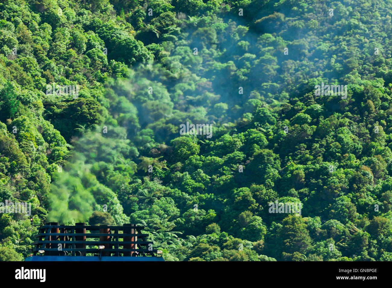 Climate gas pollution concept, smoke and forest Stock Photo - Alamy