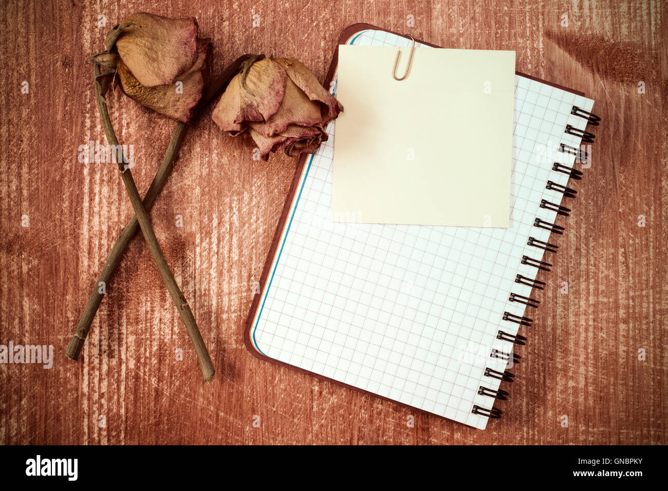 Beautiful red rose notebook hi-res stock photography and images - Alamy