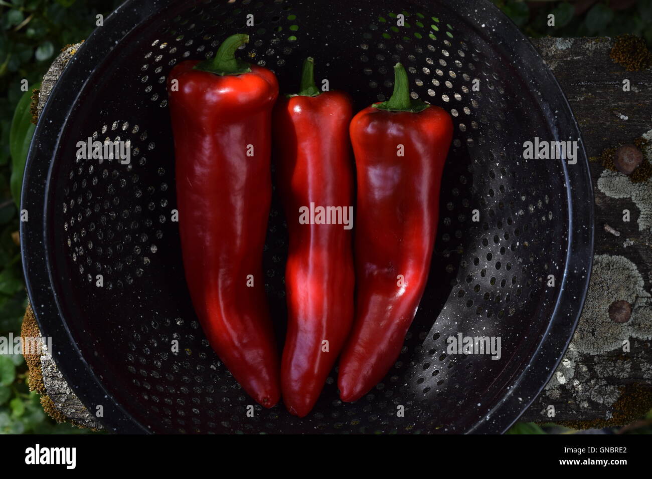 Red Carmen Peppers Stock Photo - Alamy