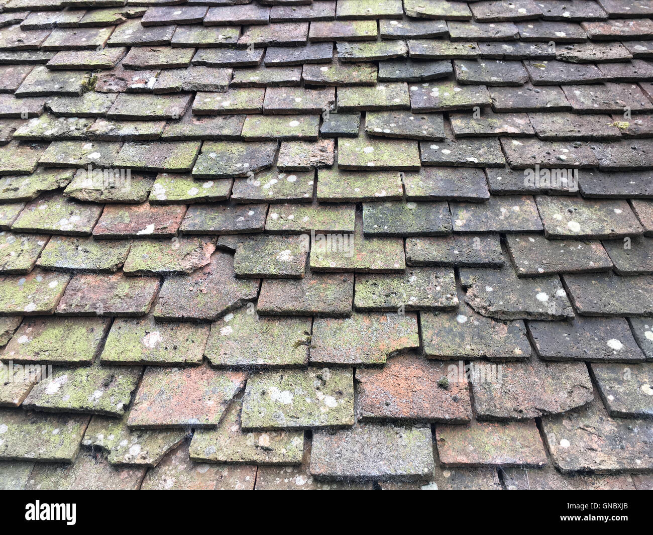 Detail of a old style roof tiles in Normandy in France Stock Photo - Alamy