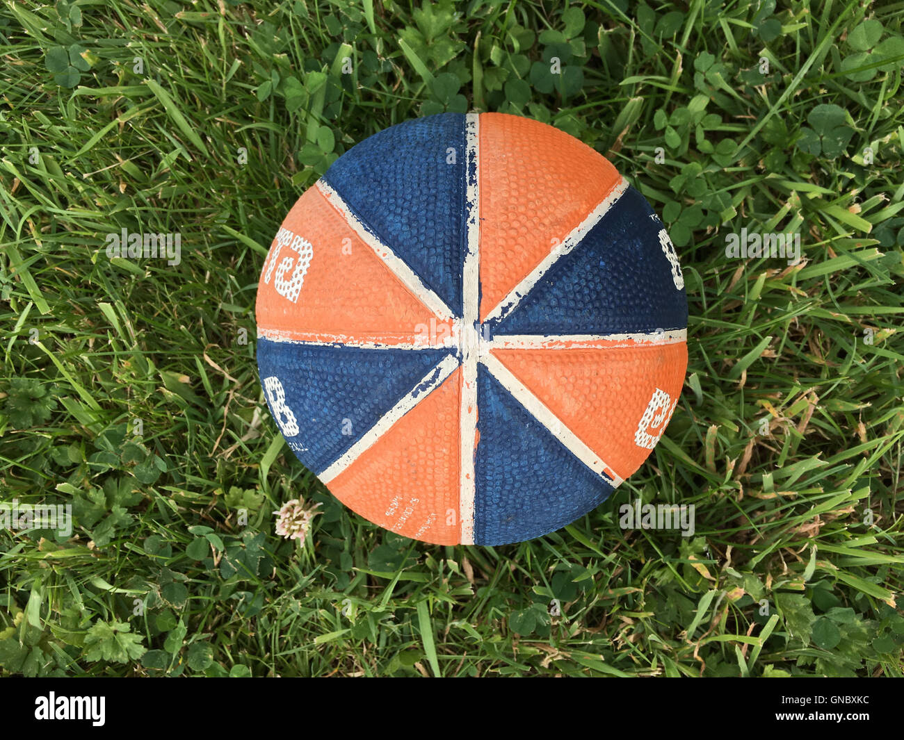 Basketball Ball top view on Grass Stock Photo - Alamy