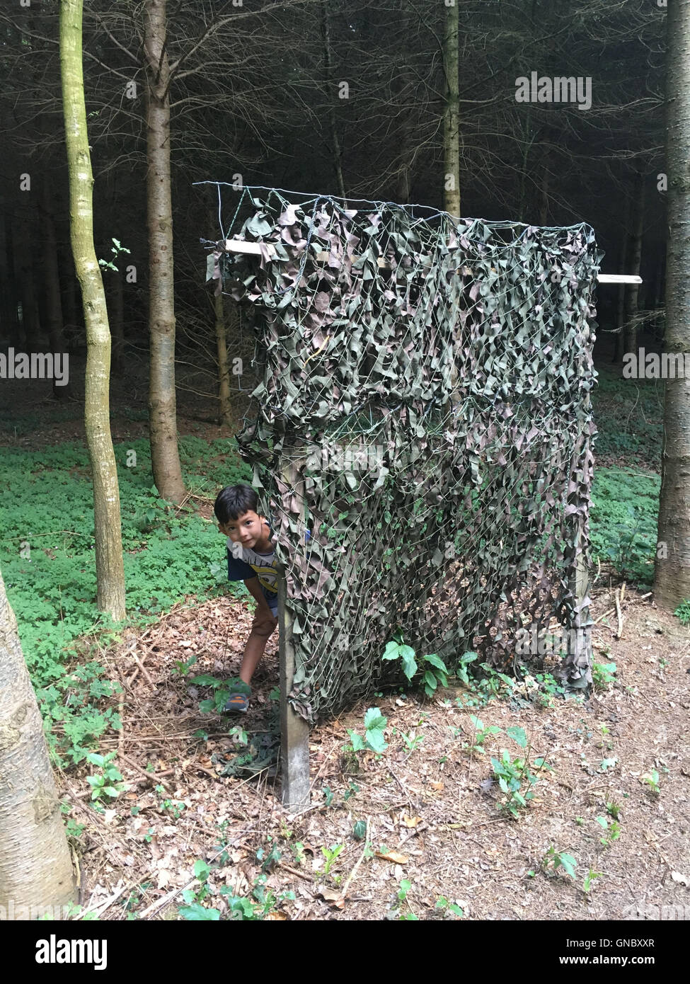 A little Boy is hiding behind a camouflage net in a forest Stock Photo ...