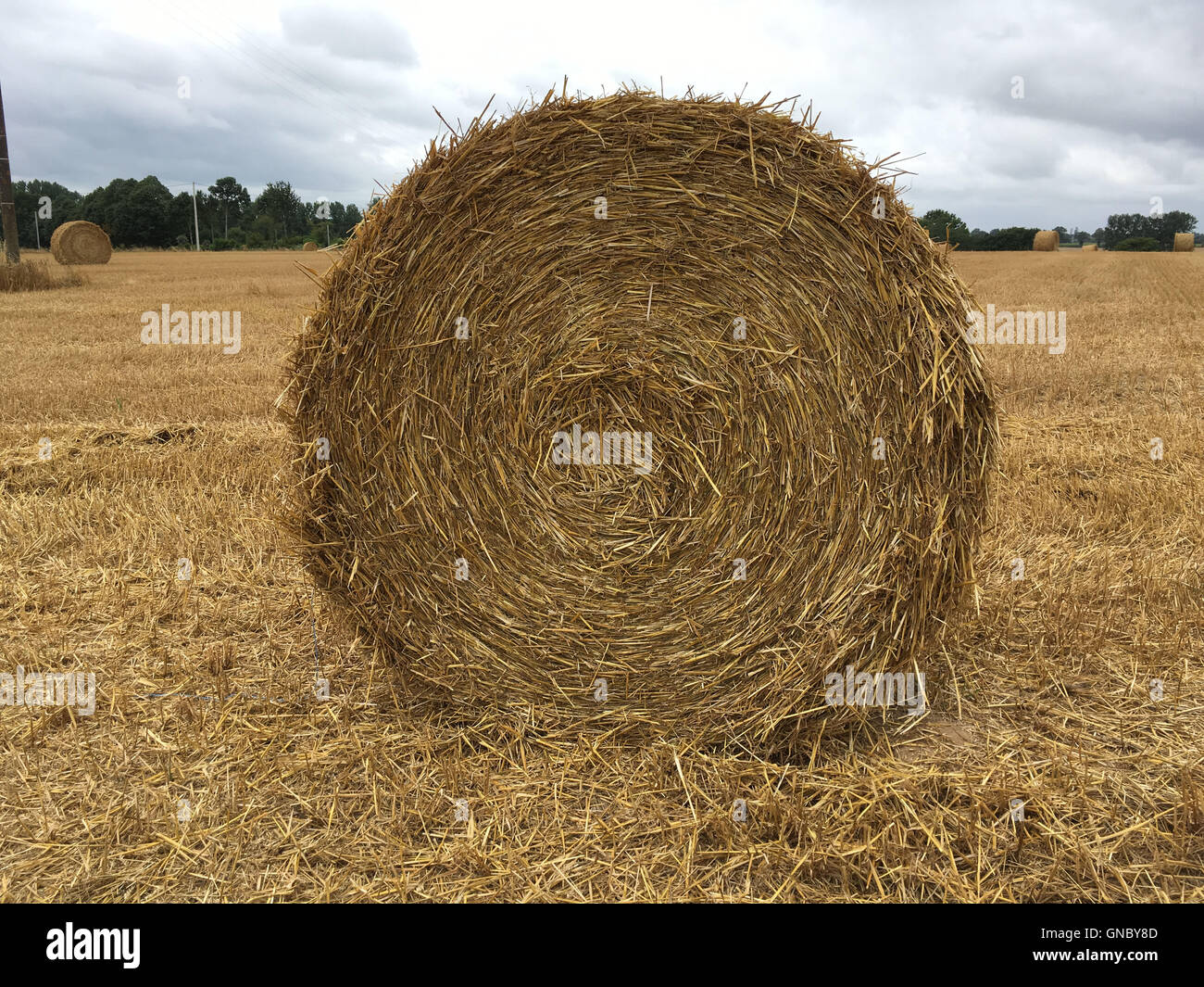 Straw Round Baler in Harvested Field Stock Photo - Alamy