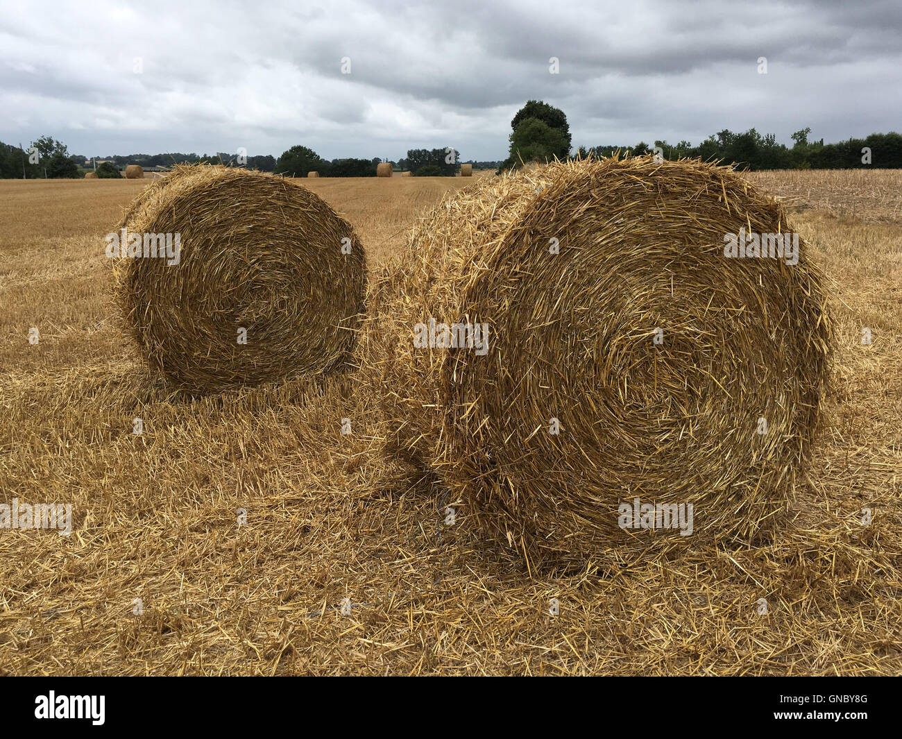 Straw Round Baler in Harvested Field Stock Photo - Alamy