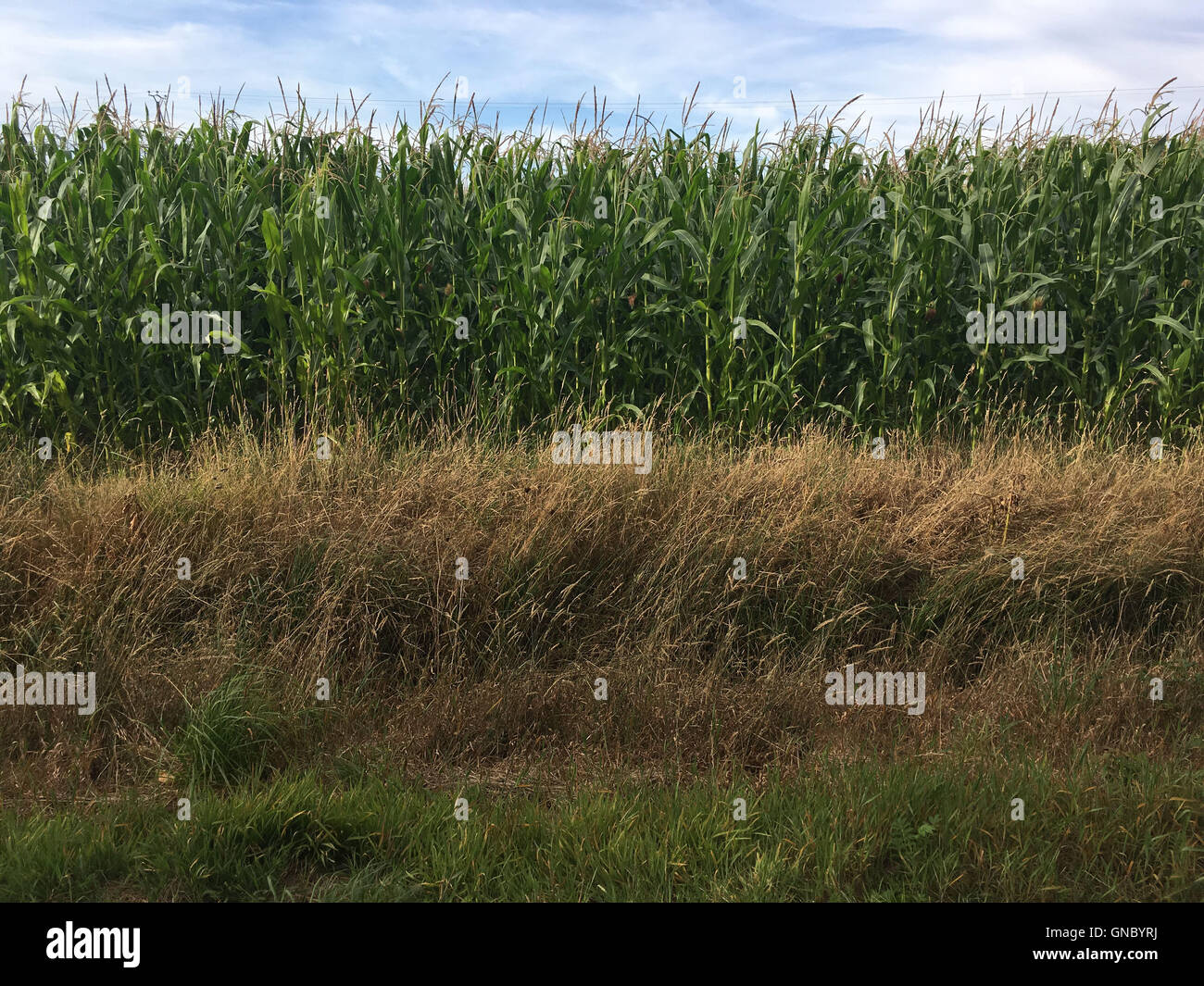 Product ranges hi-res stock photography and images - Alamy