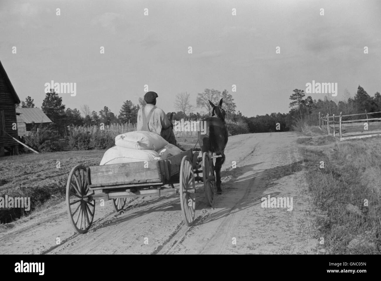 Black man wagon horse hi-res stock photography and images - Alamy