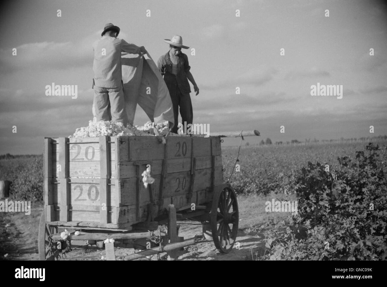 Mexican farm workers hi-res stock photography and images - Alamy