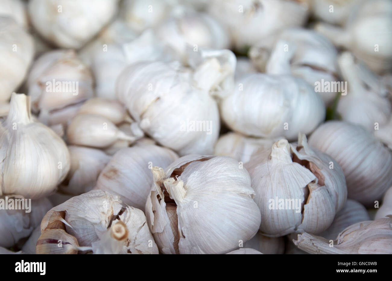 Garlic display hi-res stock photography and images - Alamy
