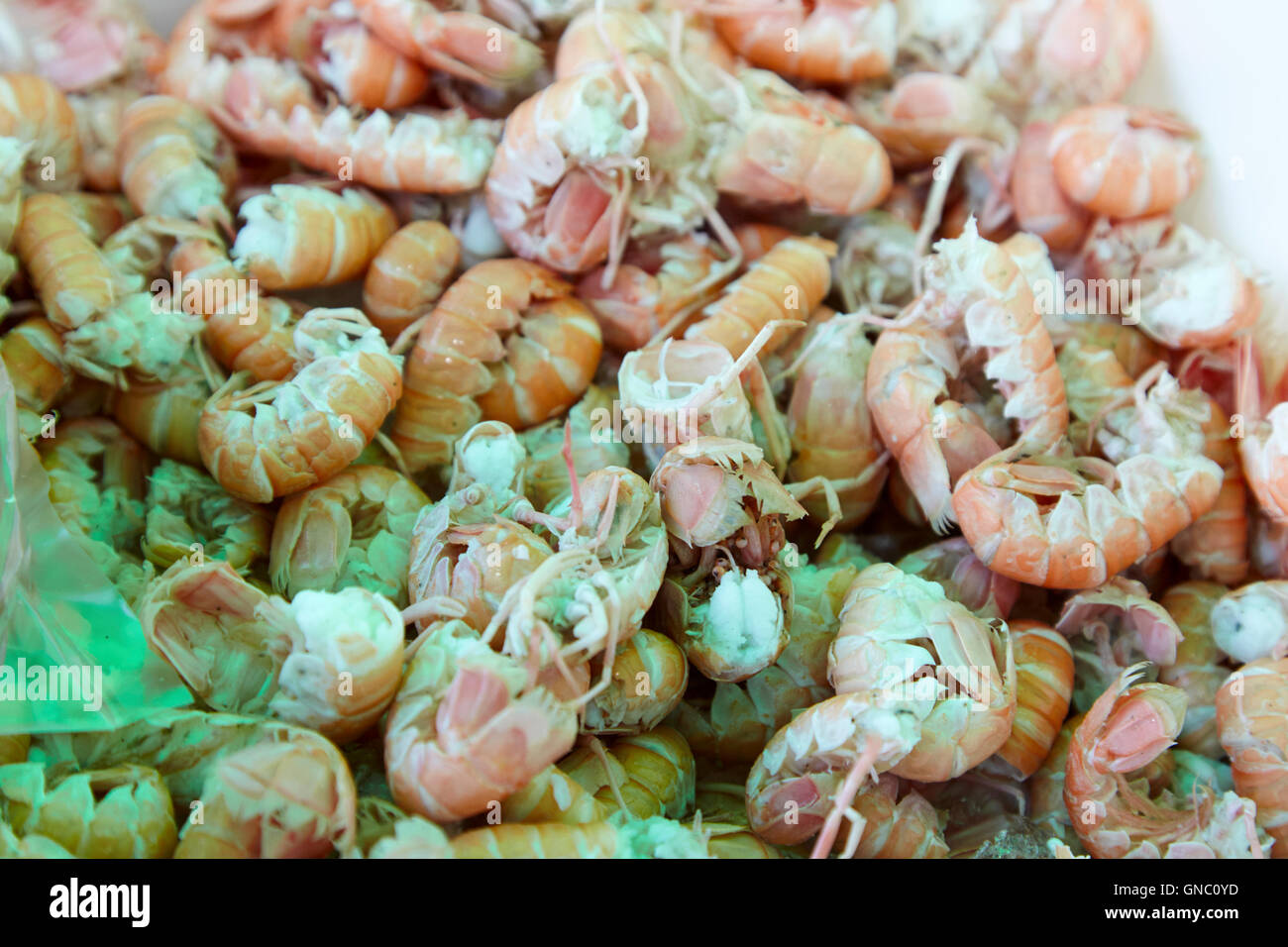 northern ireland irish sea fresh portavogie prawns Stock Photo - Alamy