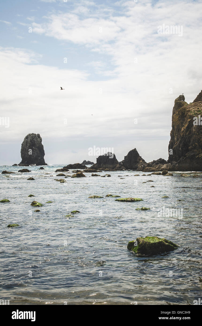 Rock Formations, Canon Beach, Oregon, USA Stock Photo - Alamy