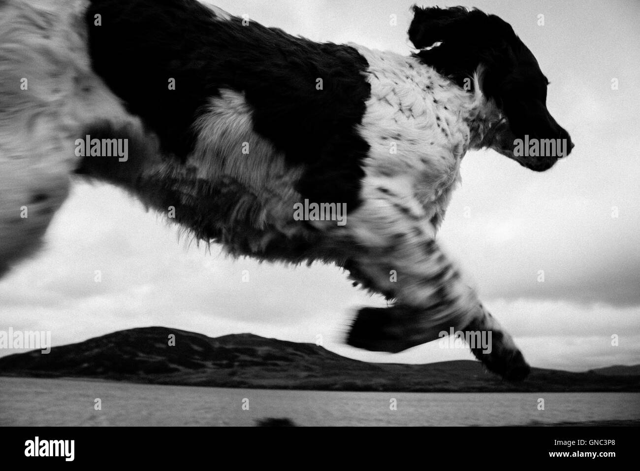 Mountain running people Black and White Stock Photos & Images - Alamy