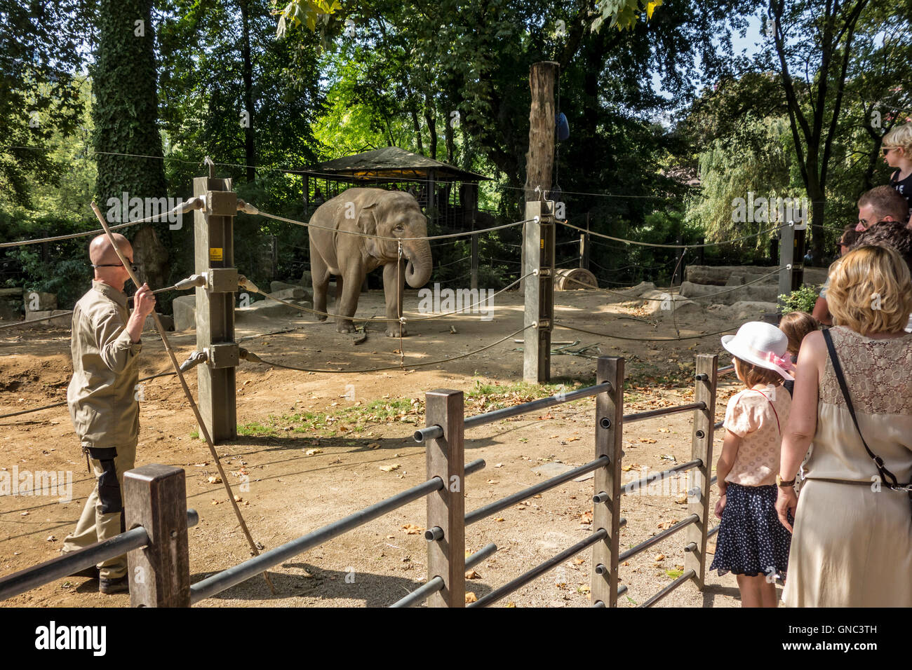 Elephant enclosure zoo hi-res stock photography and images - Alamy