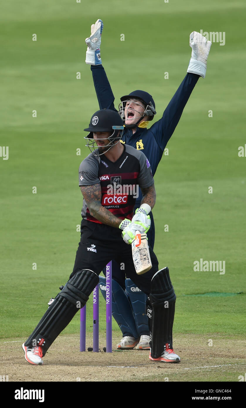 Warwickshire wicketkeeper Alex Mellor celebrates the wicket of Somerset ...