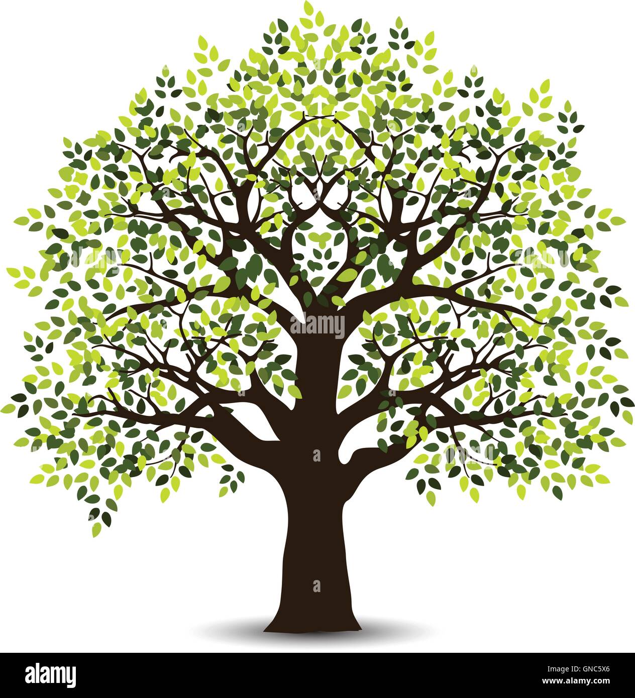 stylized tree for your design Stock Vector Image & Art - Alamy