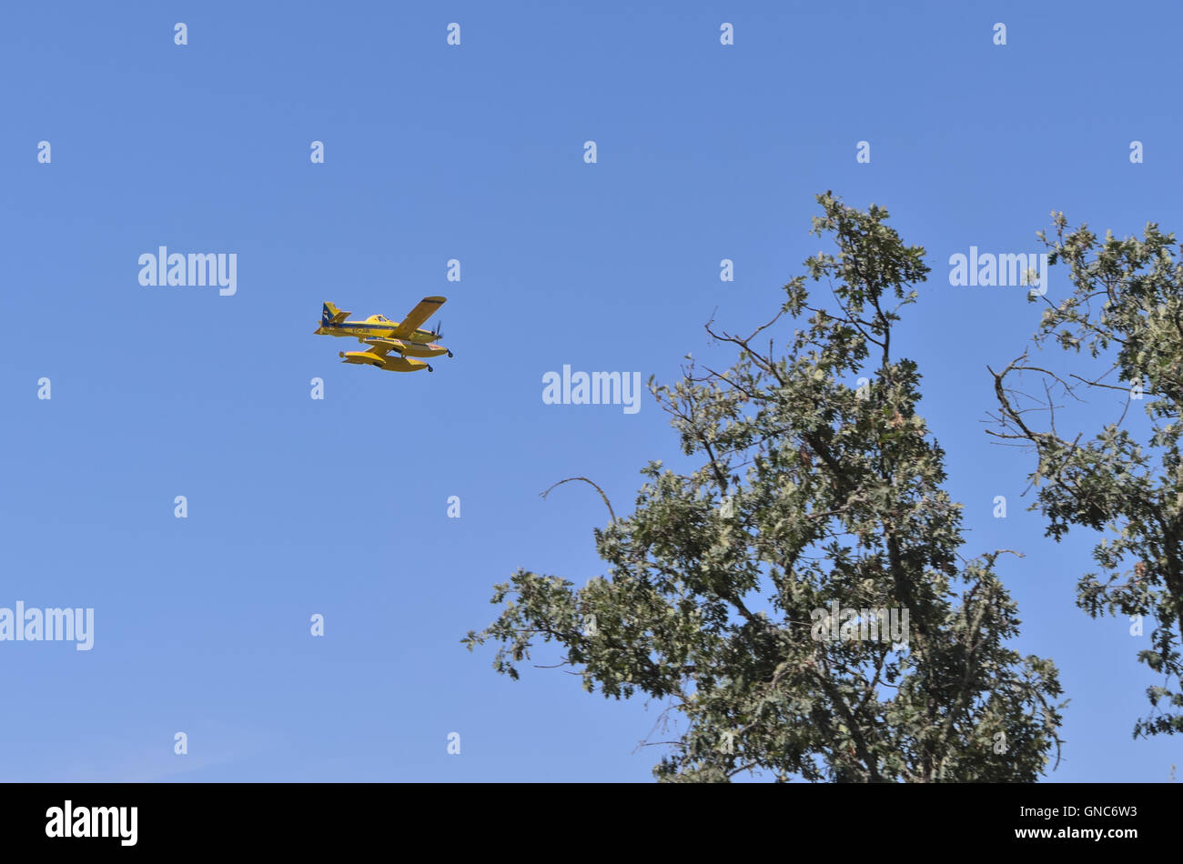Image captured the day of the fire that occurred at the car park of the ...