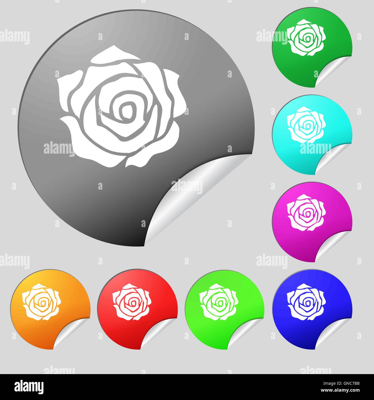 rose icon sign. Set of eight multi colored round buttons, stickers ...