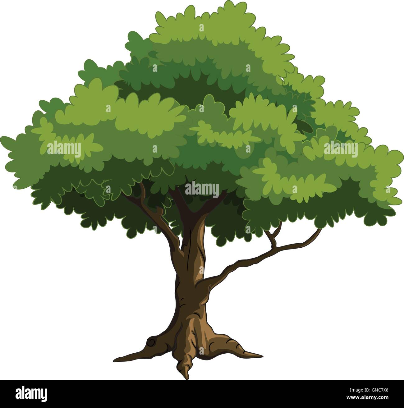 Moss on tree green Stock Vector Images - Alamy