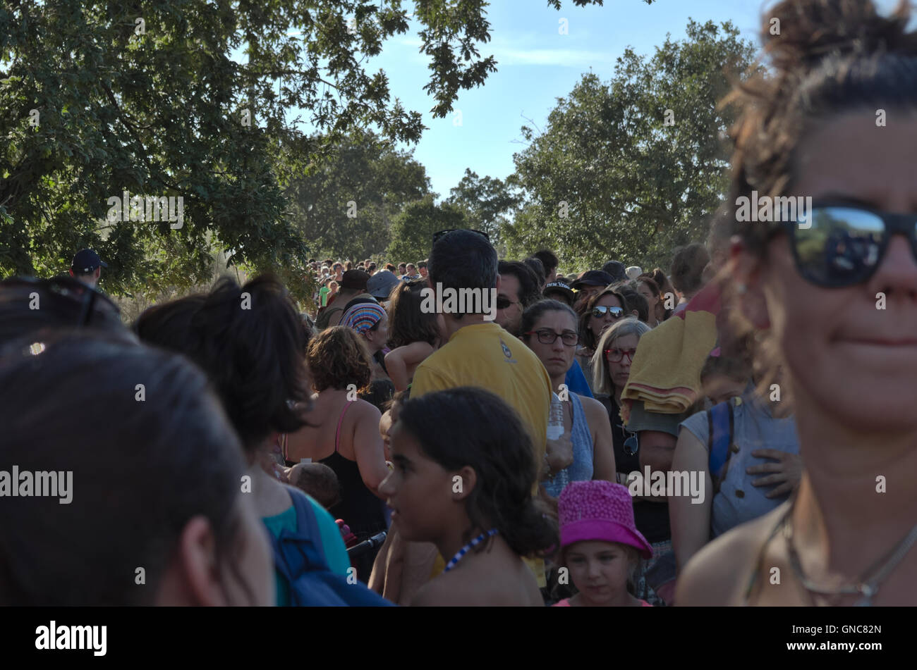 Image captured the day of the fire that occurred at the car park of the ...