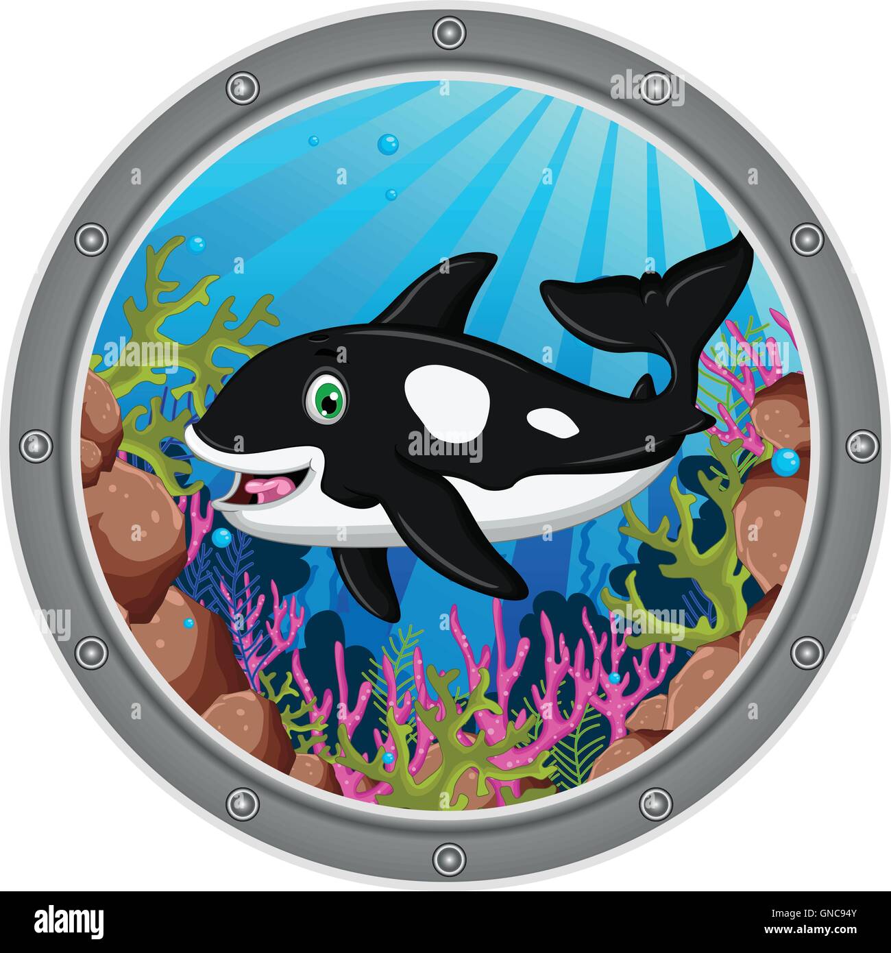 Killer Whale Cartoon Scared Cartoon Killer Whale Stock Illustration