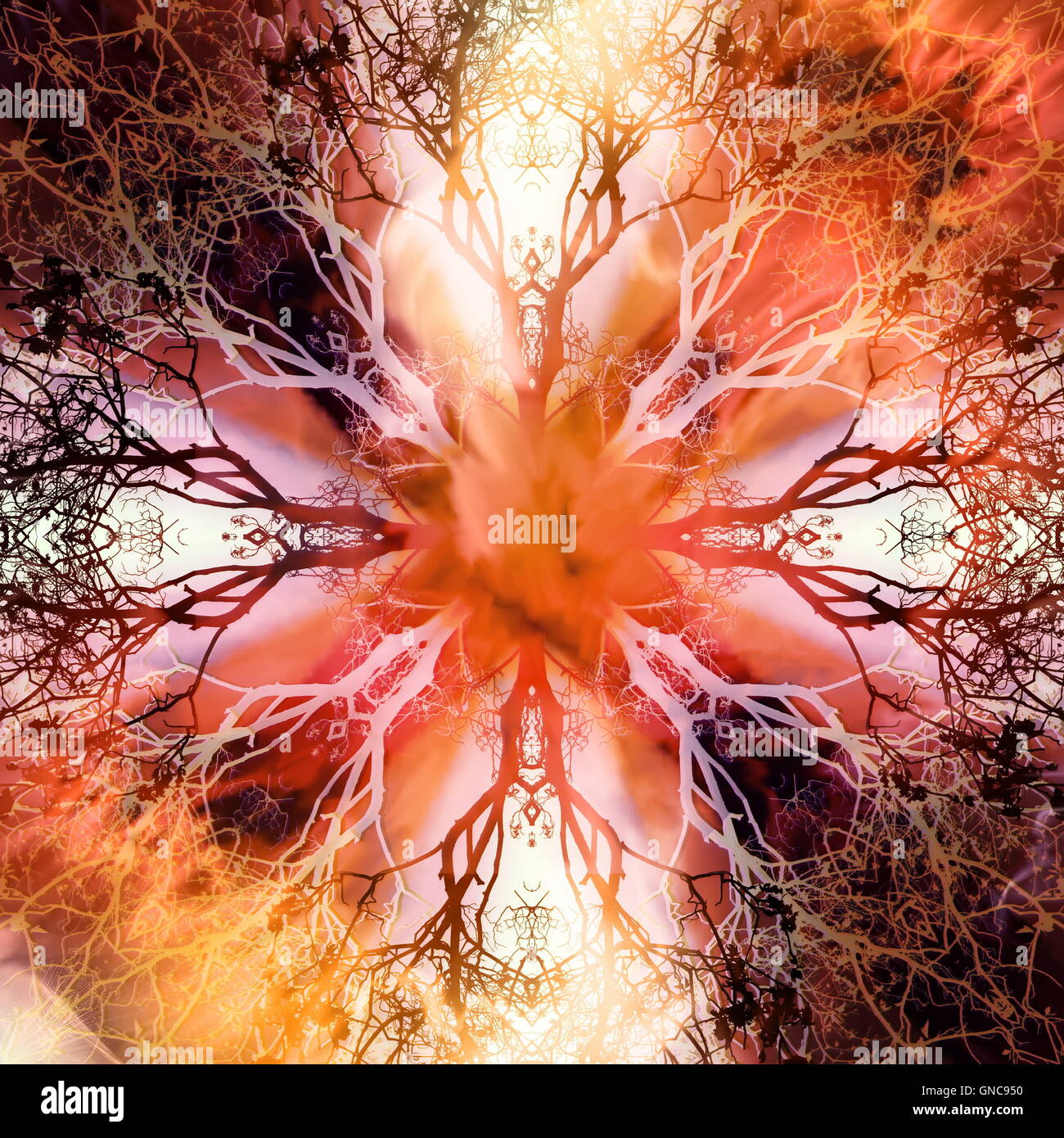 Beautiful ornamental mandala with tree pattern, symbol of life Stock ...