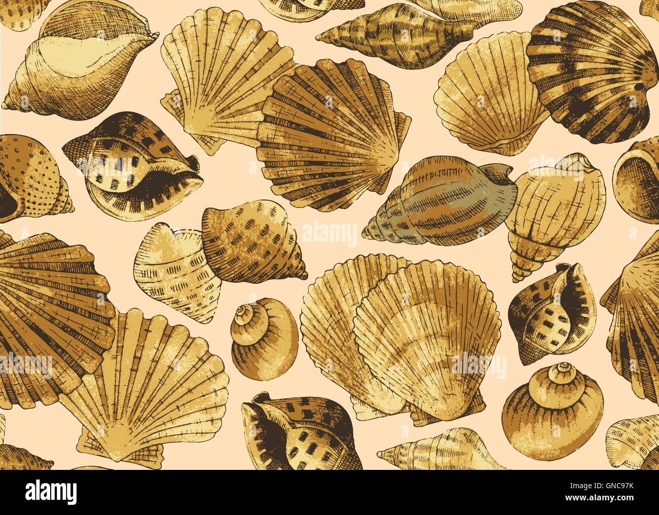 Seashells. Seamless background Stock Vector Image & Art - Alamy