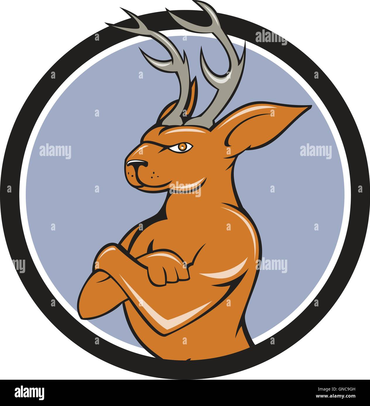 Jackalope hi-res stock photography and images - Alamy