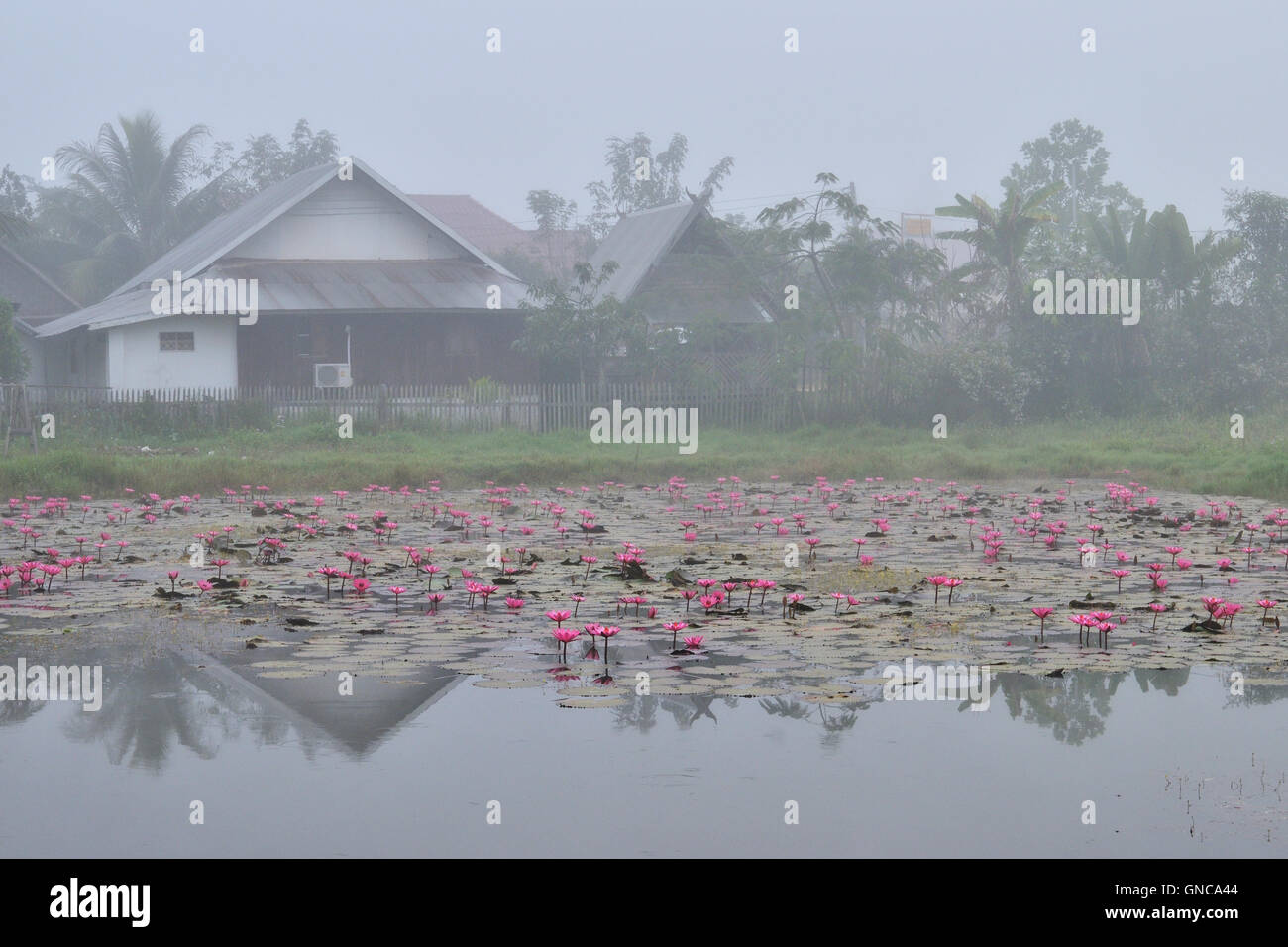 Hongsa hi-res stock photography and images - Alamy