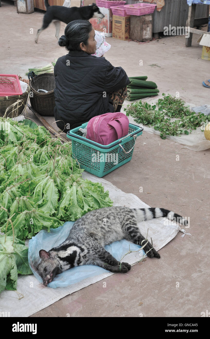 Hongsa hi-res stock photography and images - Alamy