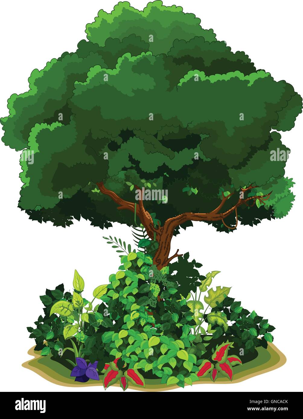 Curved tree roots Stock Vector Images - Alamy