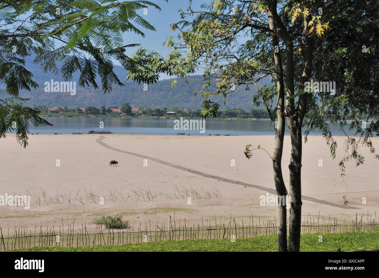 Don Daeng, The Mekong River, Sand Beach On The Mekong River Stock Photo ...