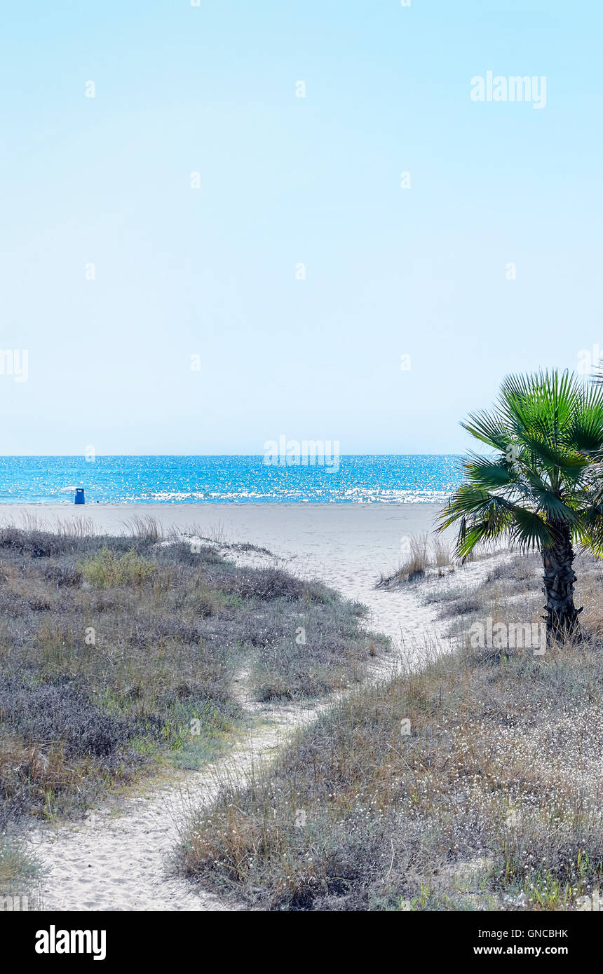 Valencia beachfront hi-res stock photography and images - Alamy