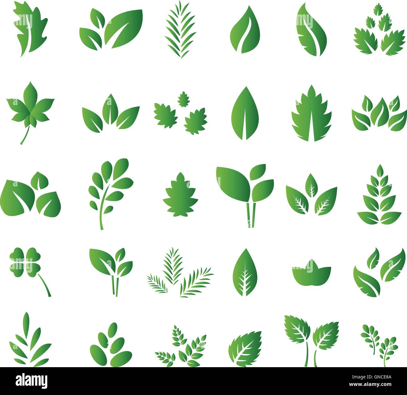 Set of green leaves design elements for you design Stock Vector Image ...