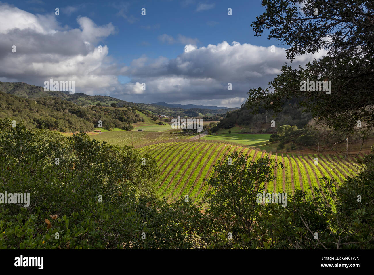 Silverado trail hi-res stock photography and images - Alamy