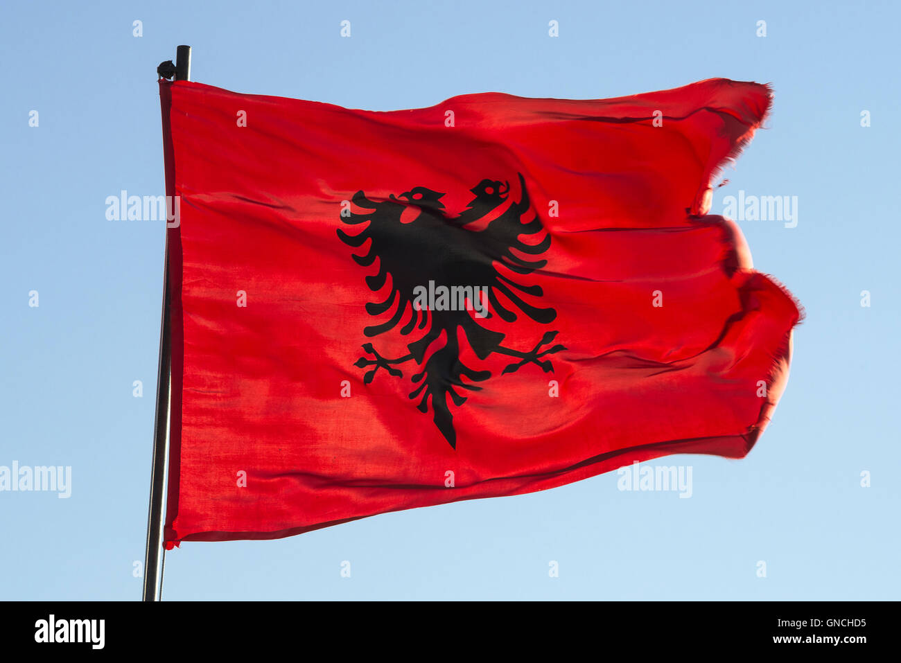 Albanian flag hi-res stock photography and images - Alamy