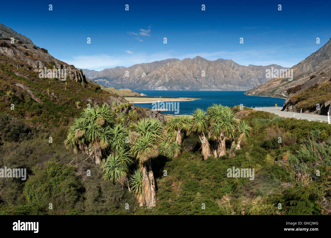 Viewpoint at a rocky ridge called The Neck stands between Lake Wanaka ...