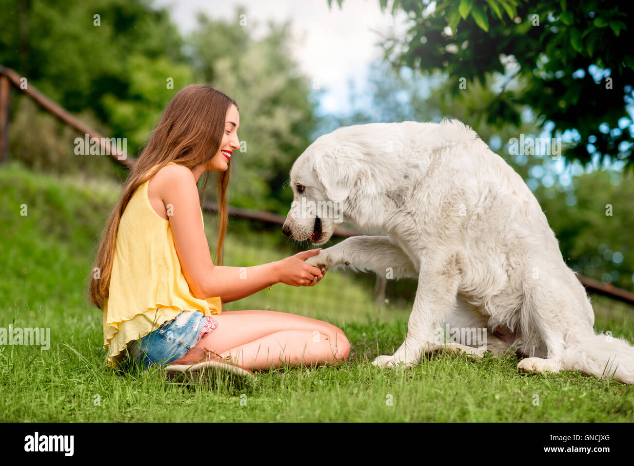 Woman with dog outdoors hi-res stock photography and images - Alamy