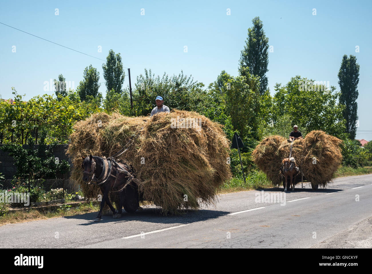 Horse cart albania hi-res stock photography and images - Alamy