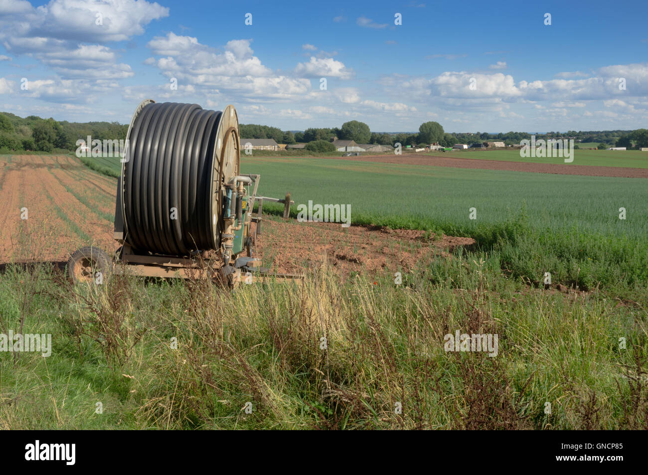 Irrigation method hi-res stock photography and images - Alamy