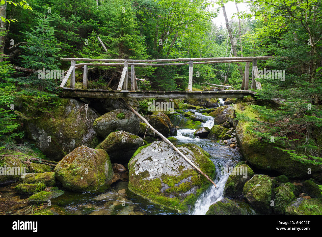 The Sanders Bridge along the Randolph Path in Low and Burbank's Grant ...