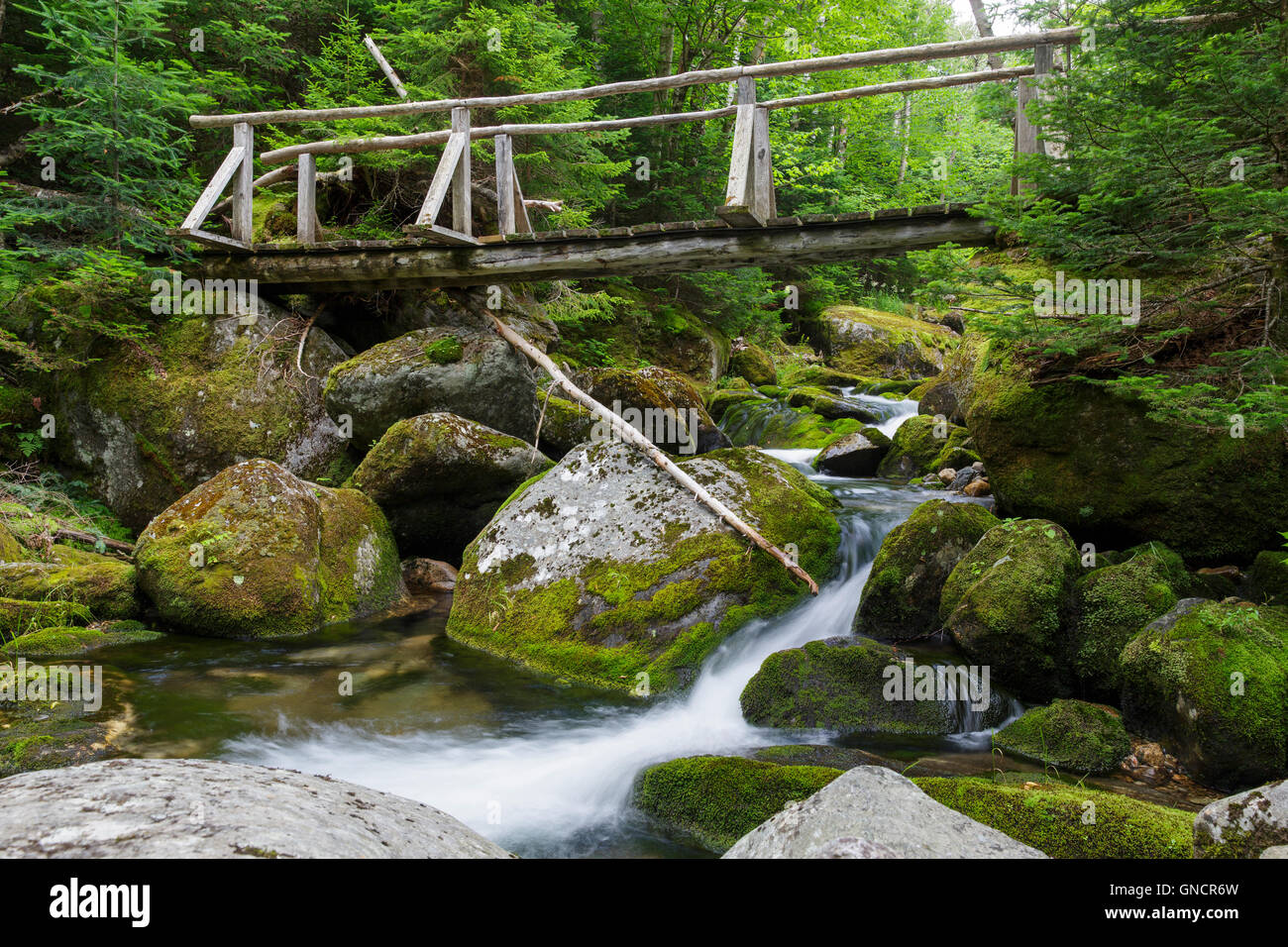 Brook sanders hi-res stock photography and images - Alamy