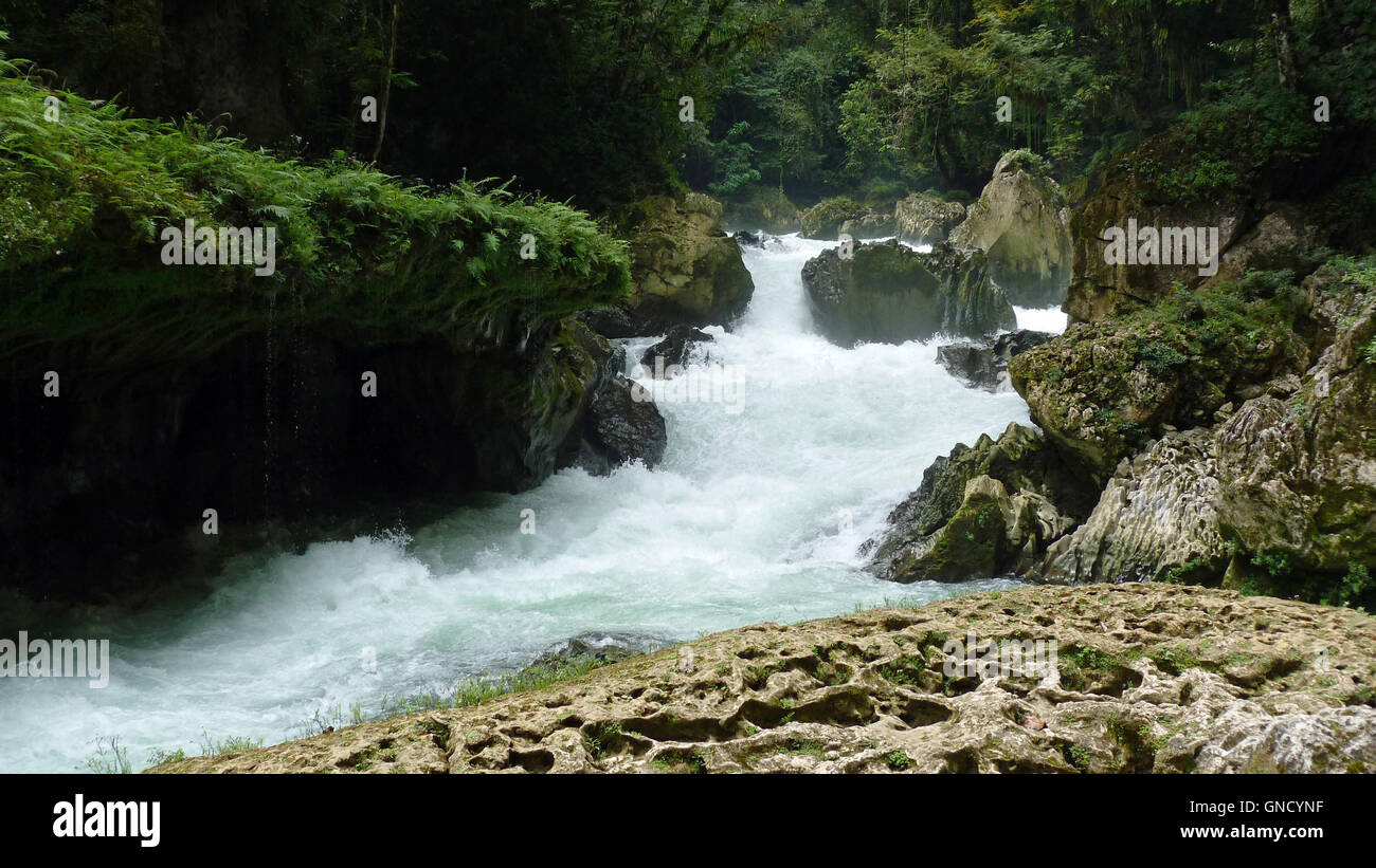 River guatemala rainforest hi-res stock photography and images - Alamy