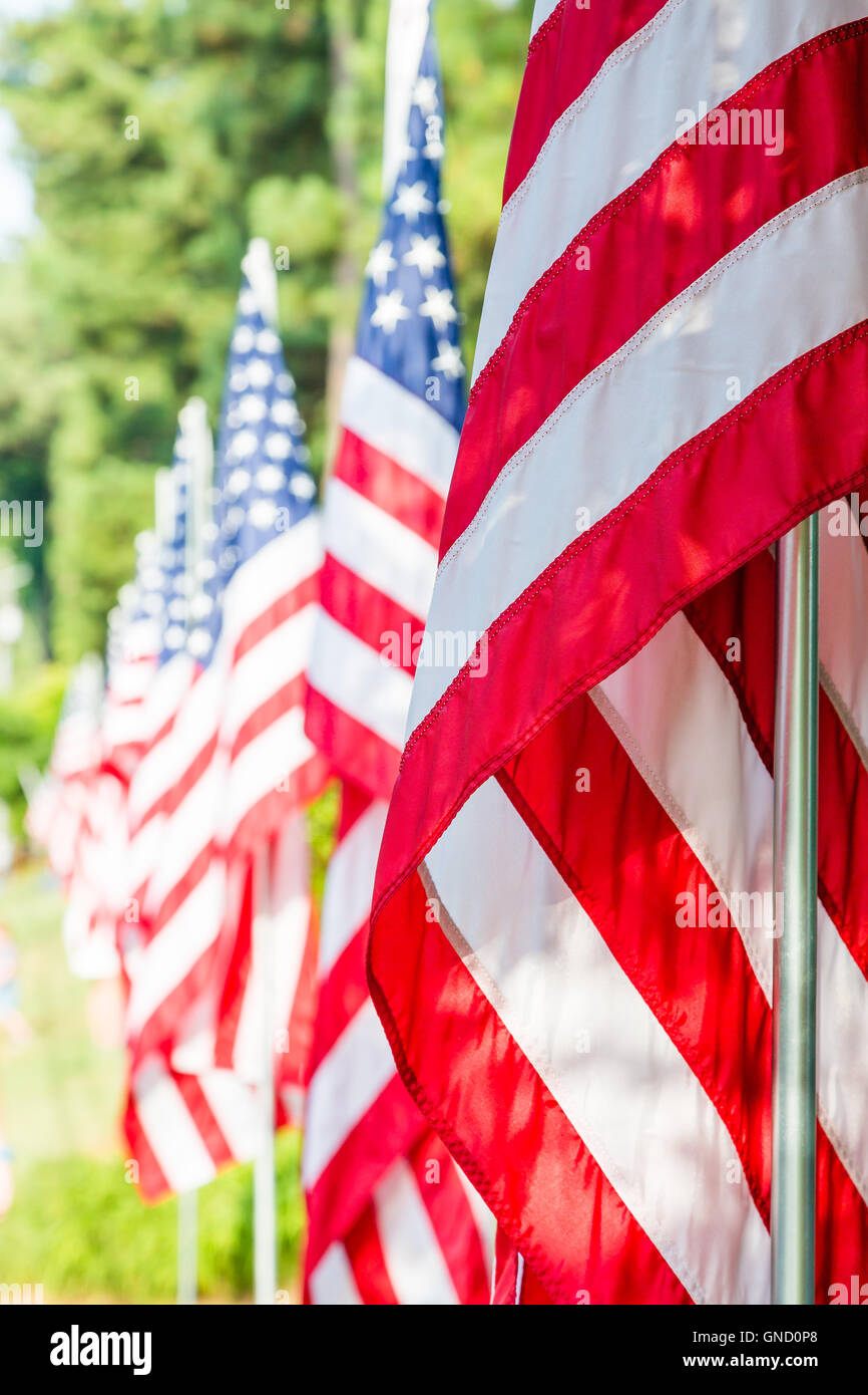 American Flags in a Row at a July 4th Celebration Stock Photo - Alamy