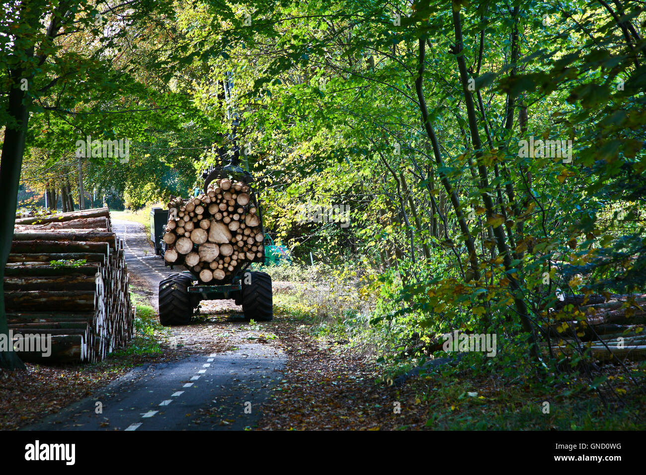 Tractor forestal hi-res stock photography and images - Alamy